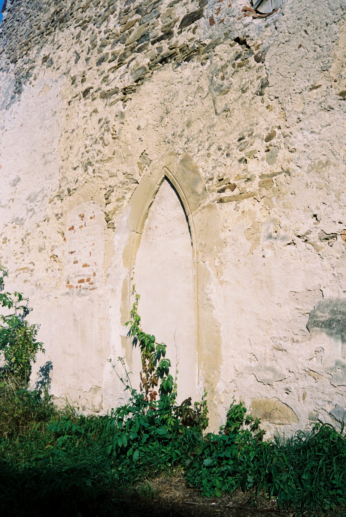 Andreea Badea | Halucinarium