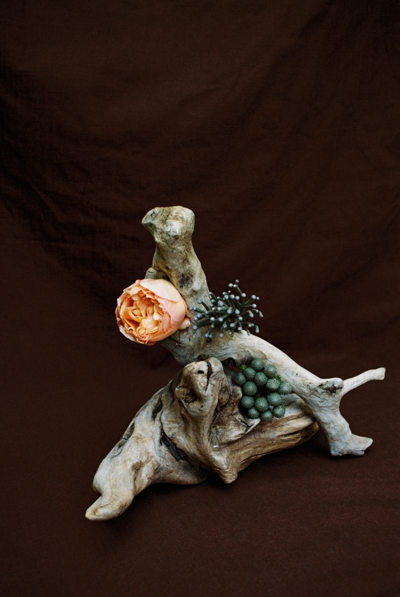 Andreea Badea | Halucinarium