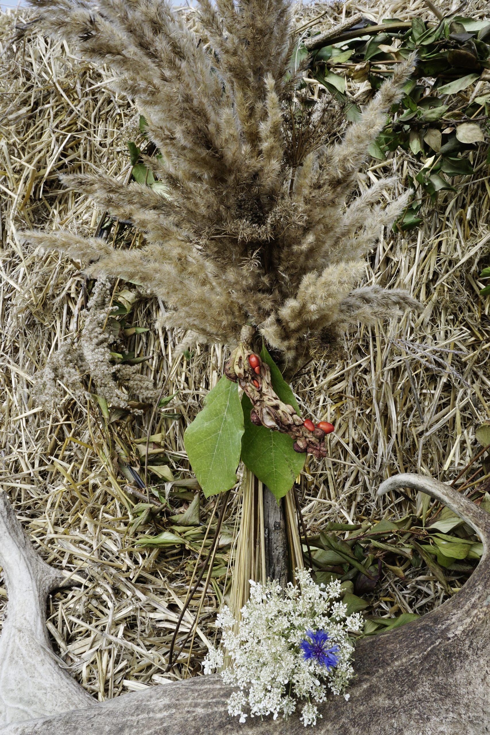 Andreea Badea | Halucinarium