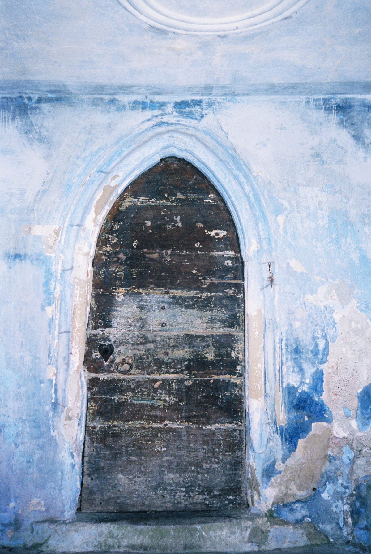 Andreea Badea | Halucinarium